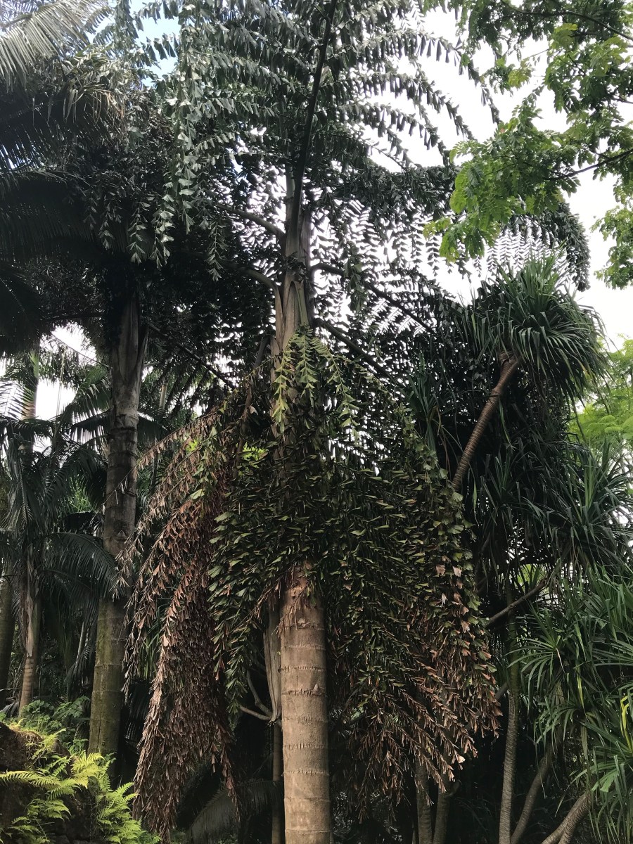 Generations – Beautiful and True